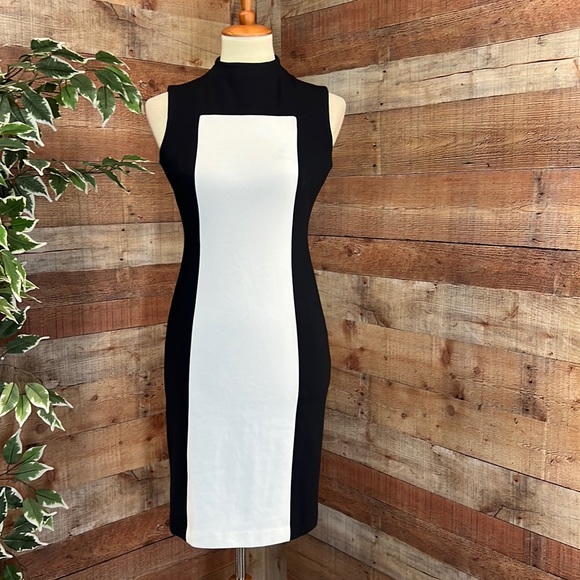 Calvin Klein | Dresses | Calvin Klein White Black Mock Neck Sleevless ...
